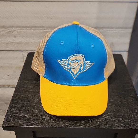 Accessories | Euc Springfield Thunderbirds Hockey Blue Yellow Mesh ...
